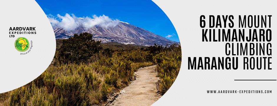 5 Reasons for a Tanzania Safari | Aardvark Expeditions